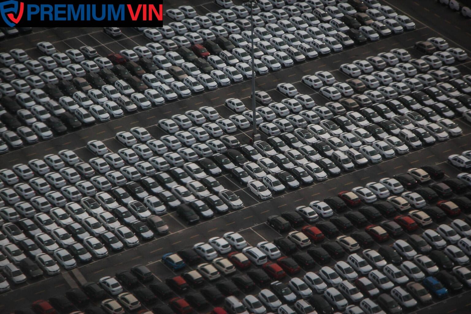 What You Need To Know About Auction VIN Check | PremiumVIN